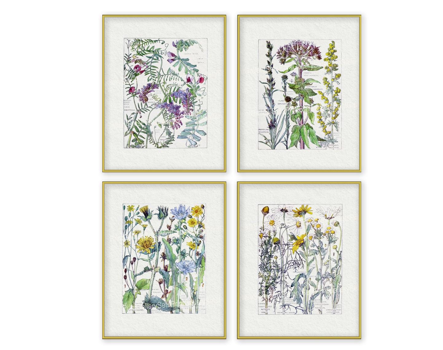 Wildflower Printable Botanic Prints Set of 4 Watercolors English ...