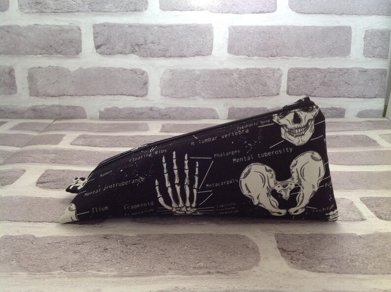 Anatomy Triangle Pencil Case Anatomy Science Student School - Etsy