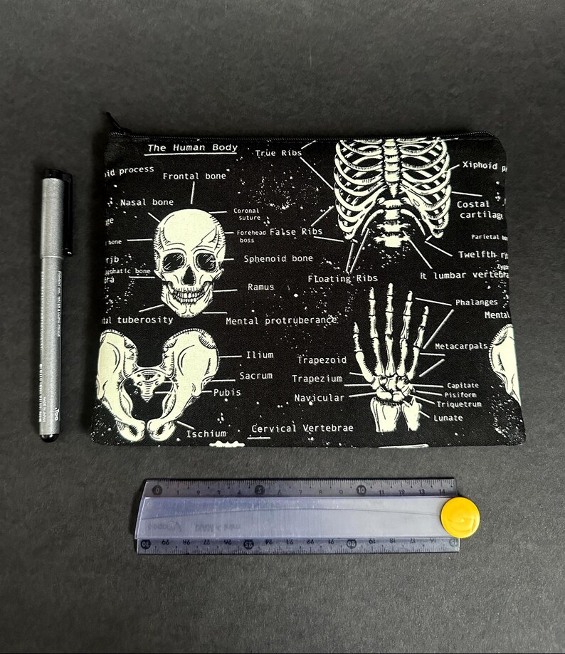 Skull Pencil Case, Skull Makeup Bag, Anatomy Bag, Skeleton Bag, Glow in ...