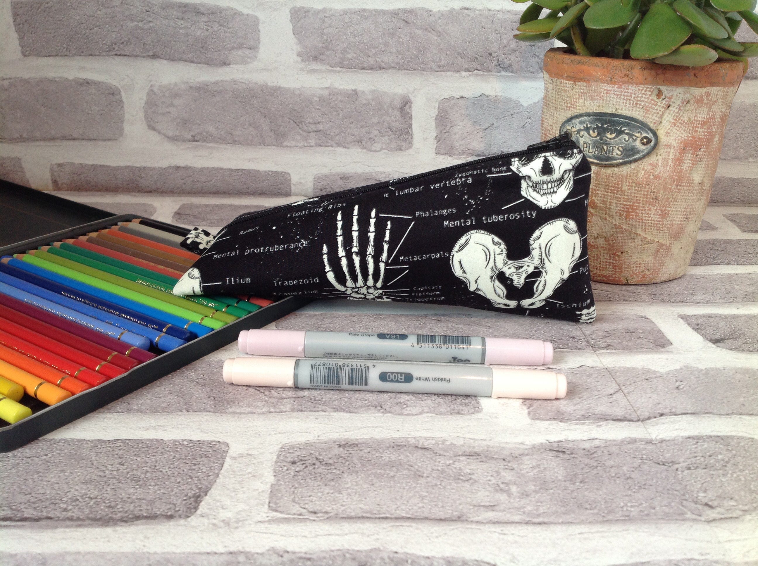 Anatomy Triangle Pencil Case Anatomy Science Student School | Etsy