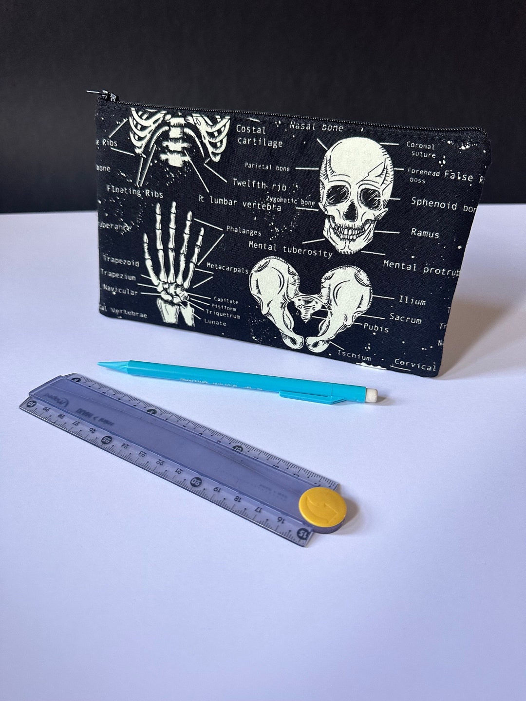Anatomy Pencil Case, School Supplies, Skeleton Pencil Case, Back to ...