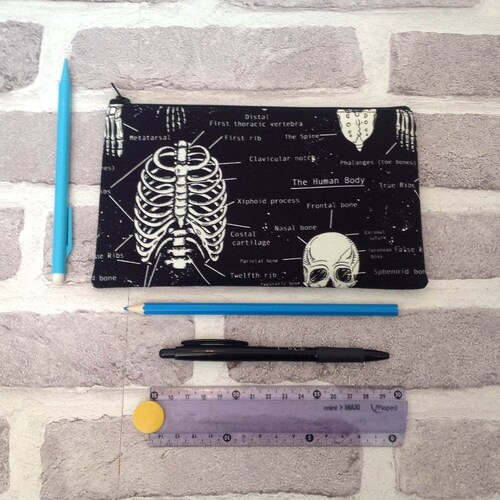 Anatomy Pencil Case School Supplies Skeleton Pencil Case | Etsy