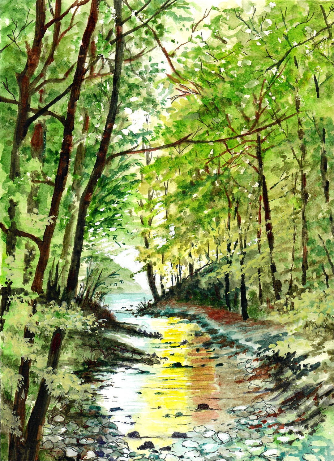 Creek in the Forest, Forest Trees, Beautiful Landscape, Landscape Art ...