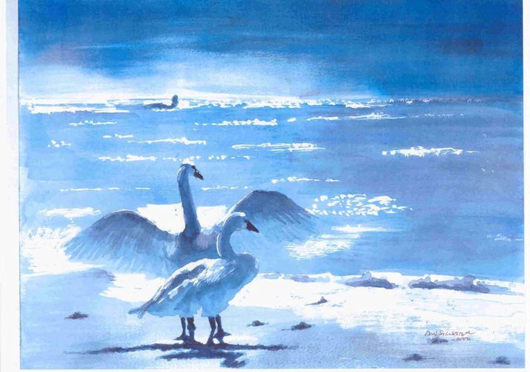 Swans on Galveston Island, Texas Wall Decor, Texas Art, Blue Swan Art ...