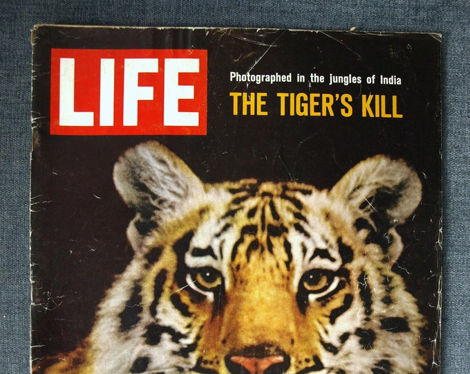 LIFE Magazine - June 25 1965 - Vol 58 - No. 25 - COMPLETE Original ...