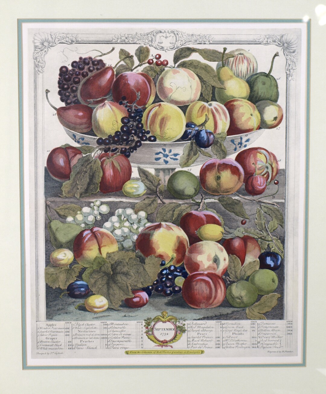 Vintage Colonial Fruit Print / September 1732 by Robert Furber Framed ...