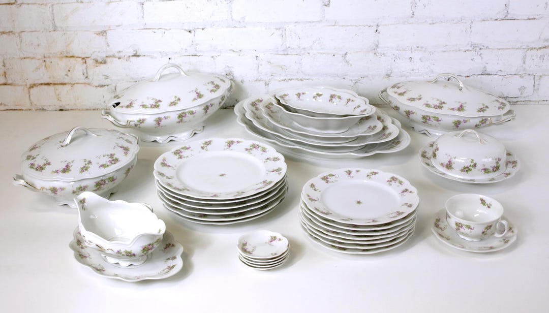 Antique MZ Austria Pink Rose Scalloped Edge Dinnerware Set, C. 1900's ...