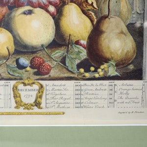 Vintage Colonial Fruit Prints, Framed and Matted - Both Included, Each ...