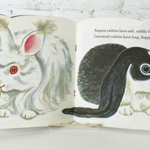 Mid Century Children's Animal Books: "baby Animals" and "the Bunny Book ...