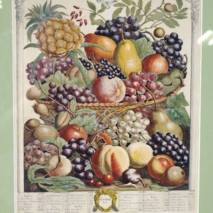 Vintage Colonial Fruit Prints, Framed and Matted - Both Included, Each ...