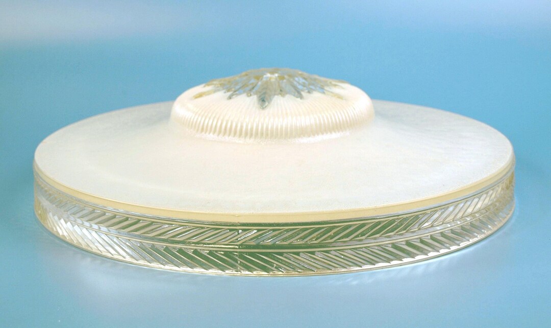 Large Art Deco Flush Mount Ceiling Light Shade With Floral Star Burst ...