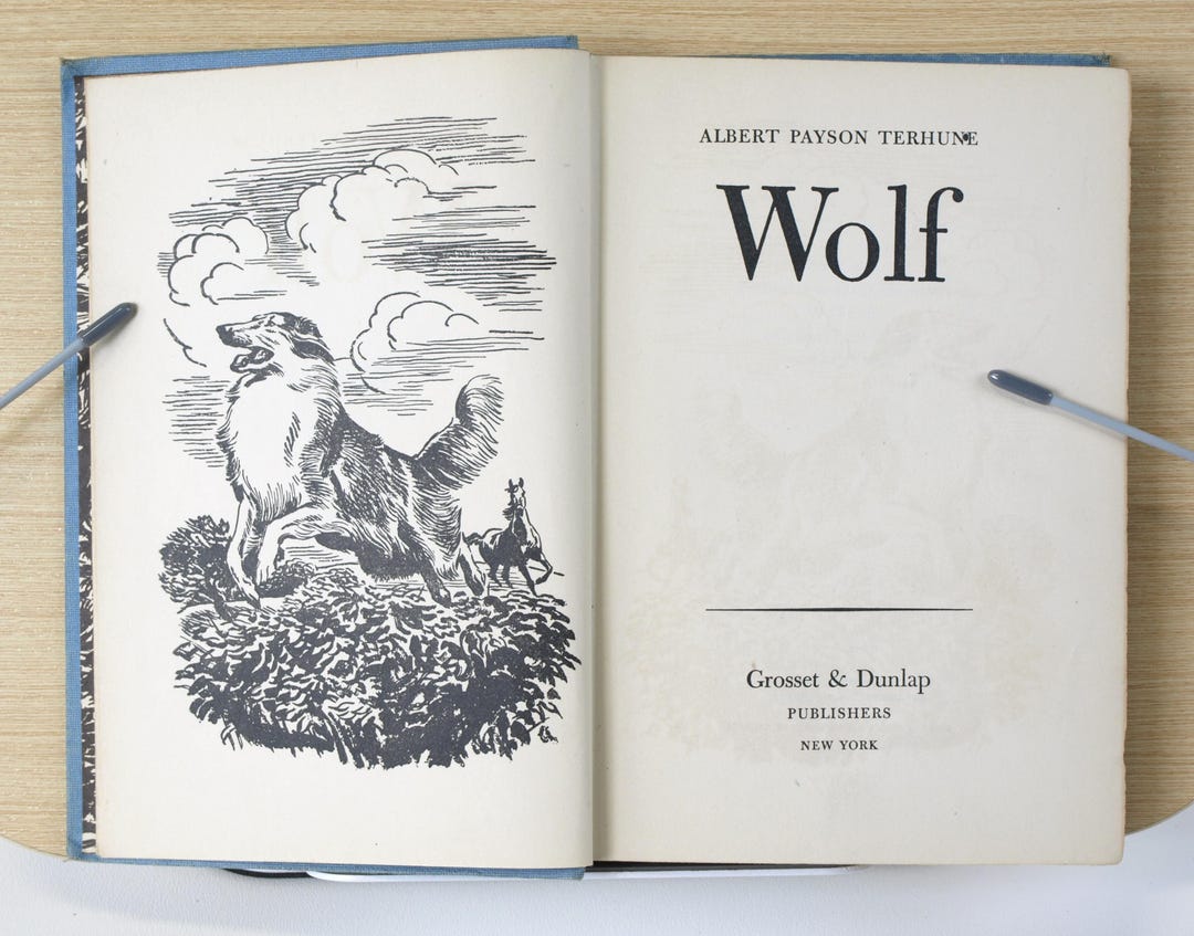 Wolf by Albert Payson Terhune - Grosset & Dunlap 1st Reprint, 1925 ...