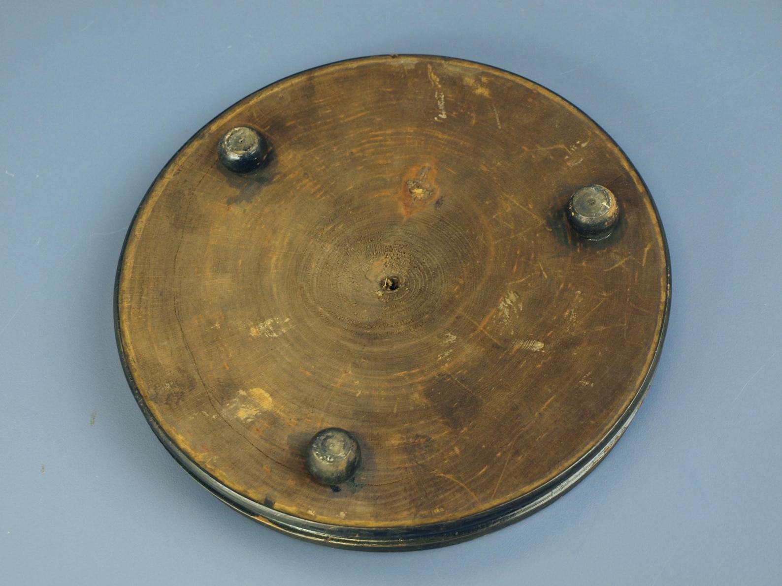 Tall Glass Cloche Dome Display With Natural Wood Slice Platform Base ...