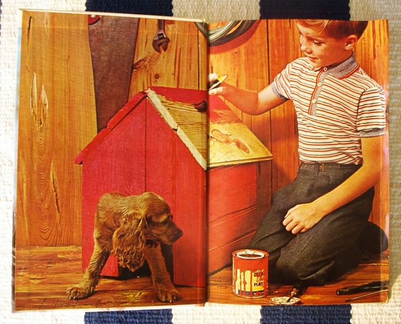 Cocker Spaniels by Bart King 1983 Hardcover Book - Etsy