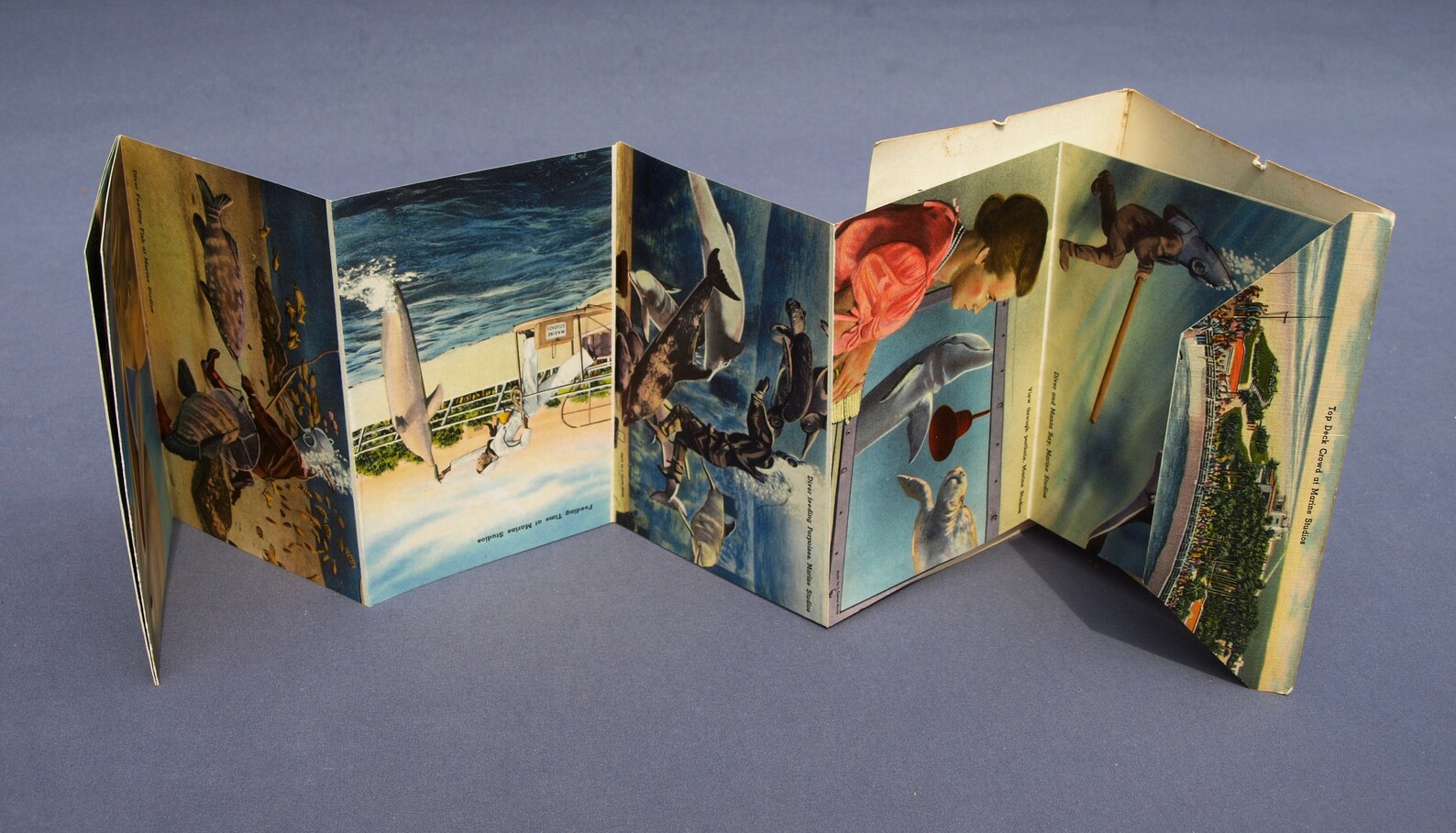 Vintage Marine Studios Marineland Florida Souvenir Foldout Postcard ...
