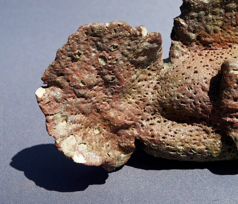 Hand Made / Built Raku Art Pottery Koi Fish Sculpture With - Etsy