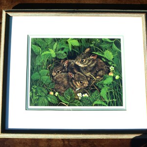 Limited Edition Framed Wildlife Art Print by Susan Bankey Yoder 1989 ...