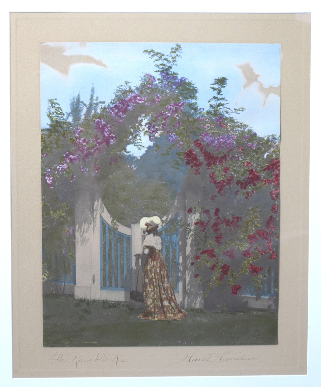 The Rambler Rose Hand Colored Photo Print by David Davidson Signed by ...