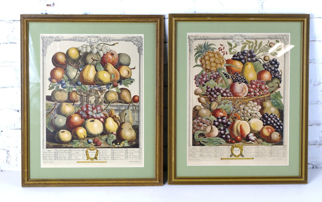 Vintage Colonial Fruit Prints, Framed and Matted - Both Included, Each ...