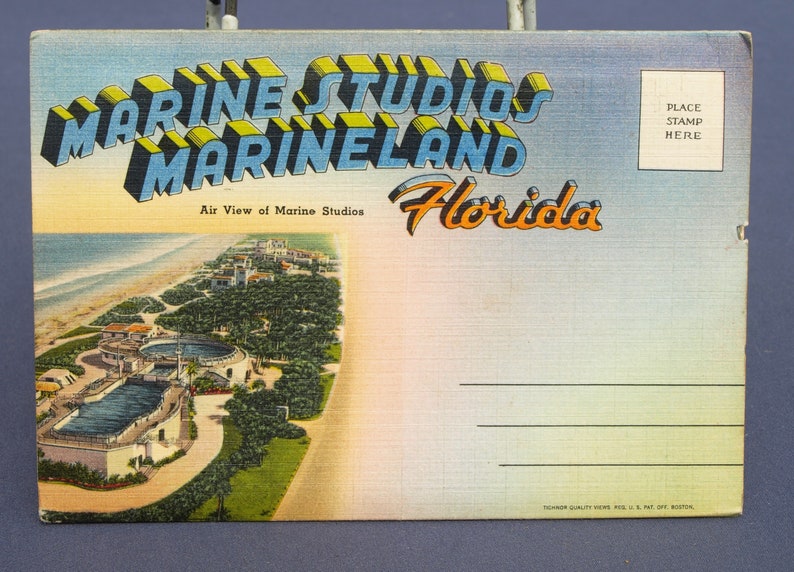 Vintage Marine Studios Marineland Florida Souvenir Foldout Postcard ...