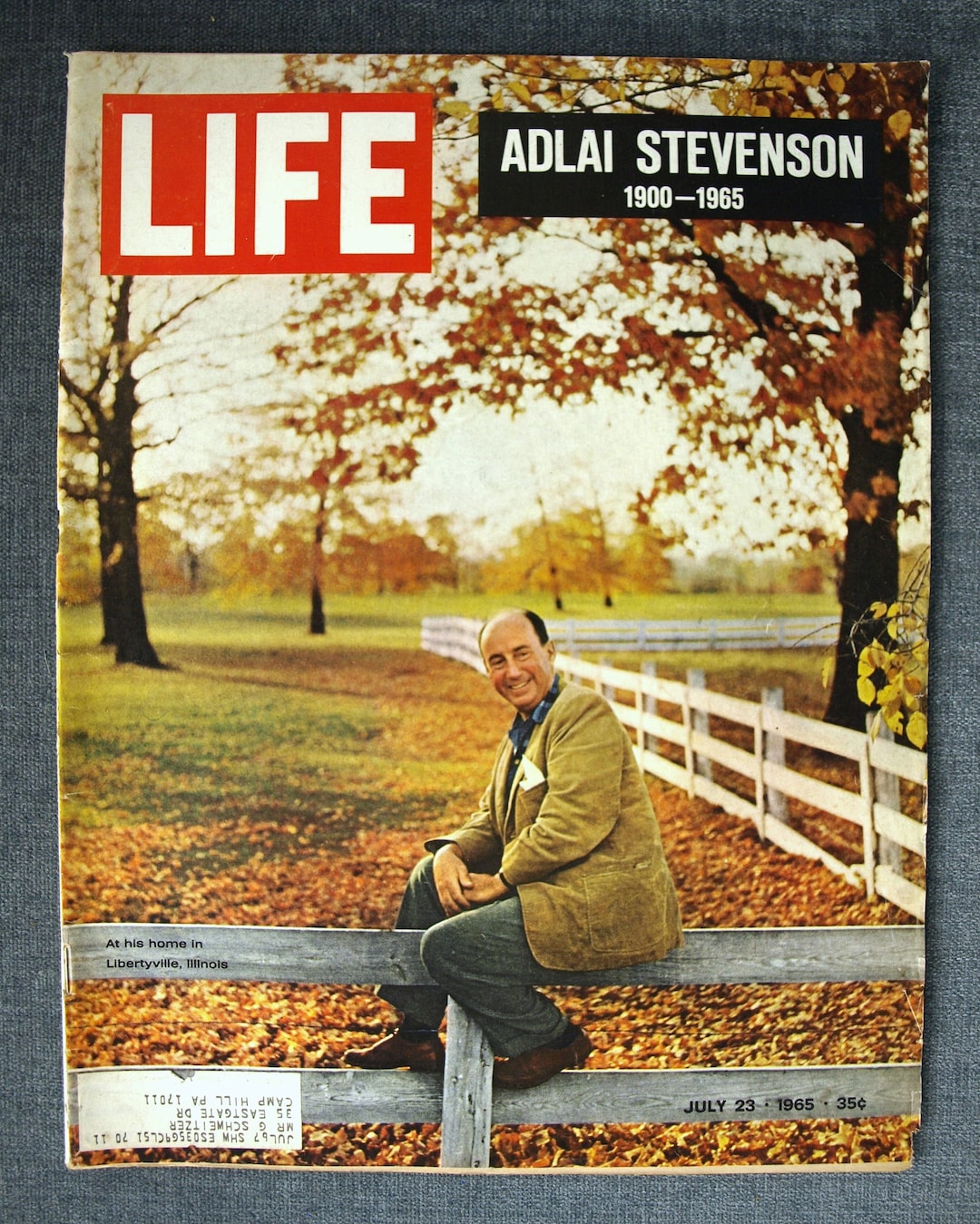 LIFE Magazine - July 23 1965 - Vol 59 - No 4 - COMPLETE Original Issue ...
