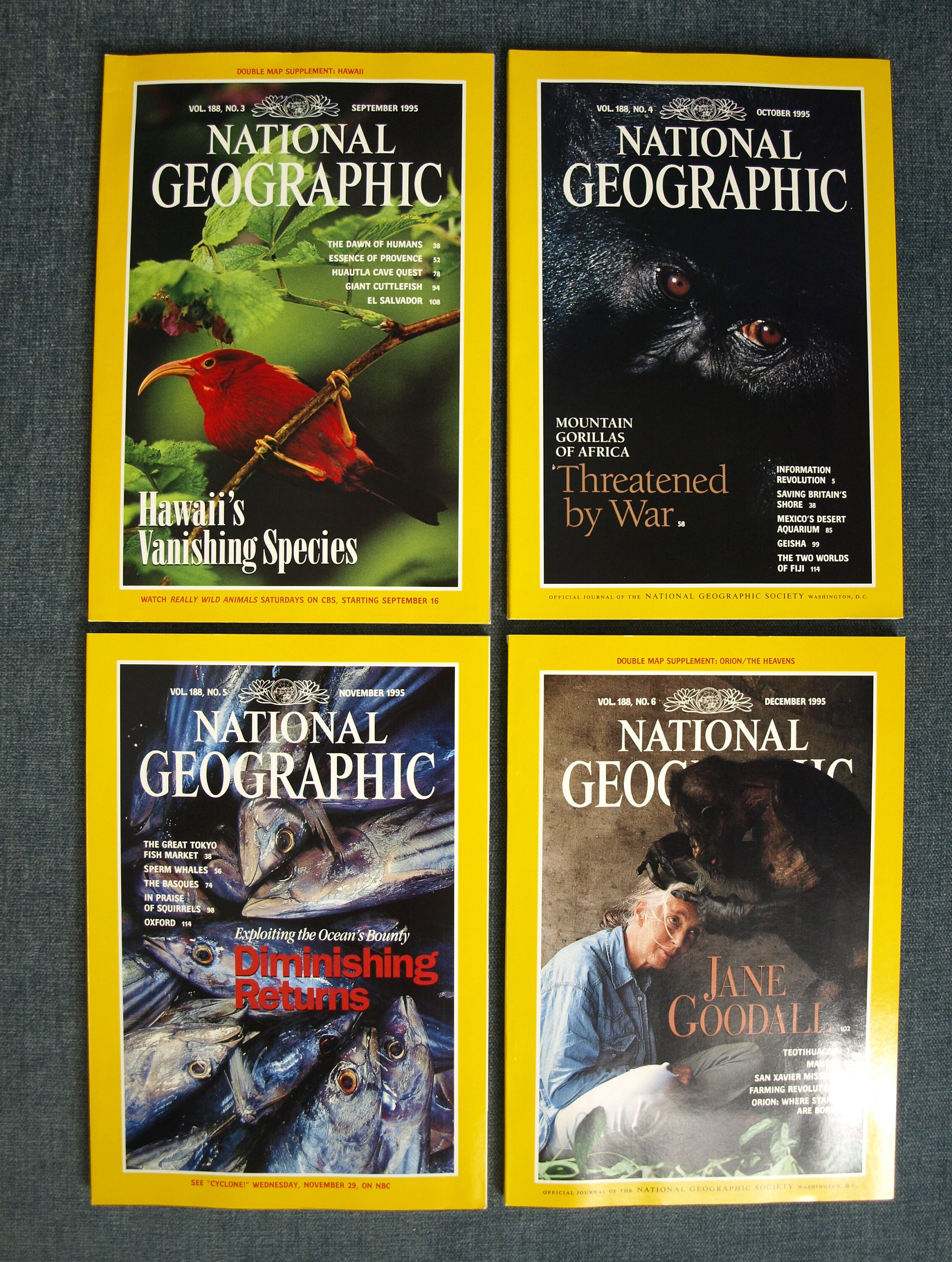 National Geographic Magazines