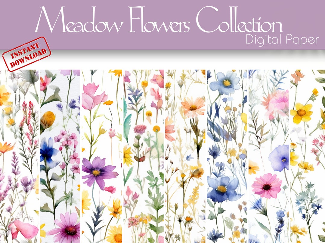 Meadow Flowers Watercolor Digital Paper Pack - Abstract Multicolor ...