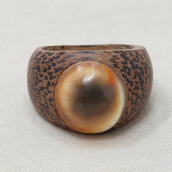 Operculum Shell - Etsy