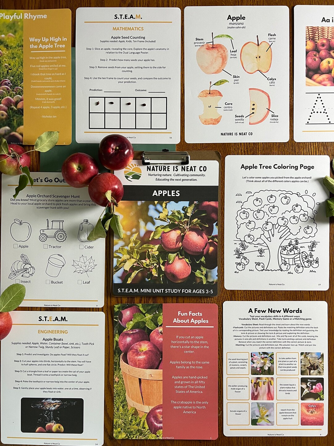 Apples Mini Unit Study Ages 3-5, Fall Printable, Autumn, STEAM, Apple ...