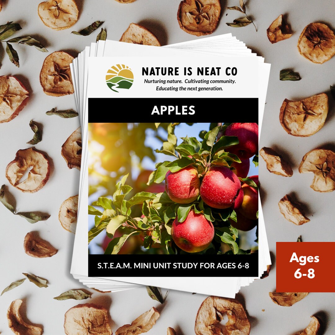 Apples Mini Unit Study Ages 6-8, Fall Printable, Autumn, Apple Download ...