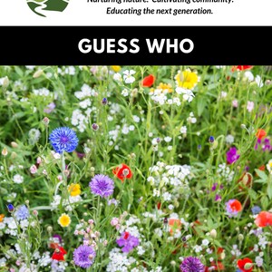Guess Who Wildflower Edition, Wildflowers Game, Flower Printable ...