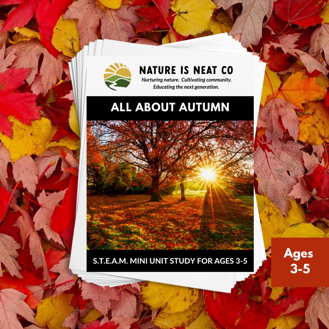 All About Autumn Mini Unit Study for Ages 3-5, Fall Printable, Autumn ...