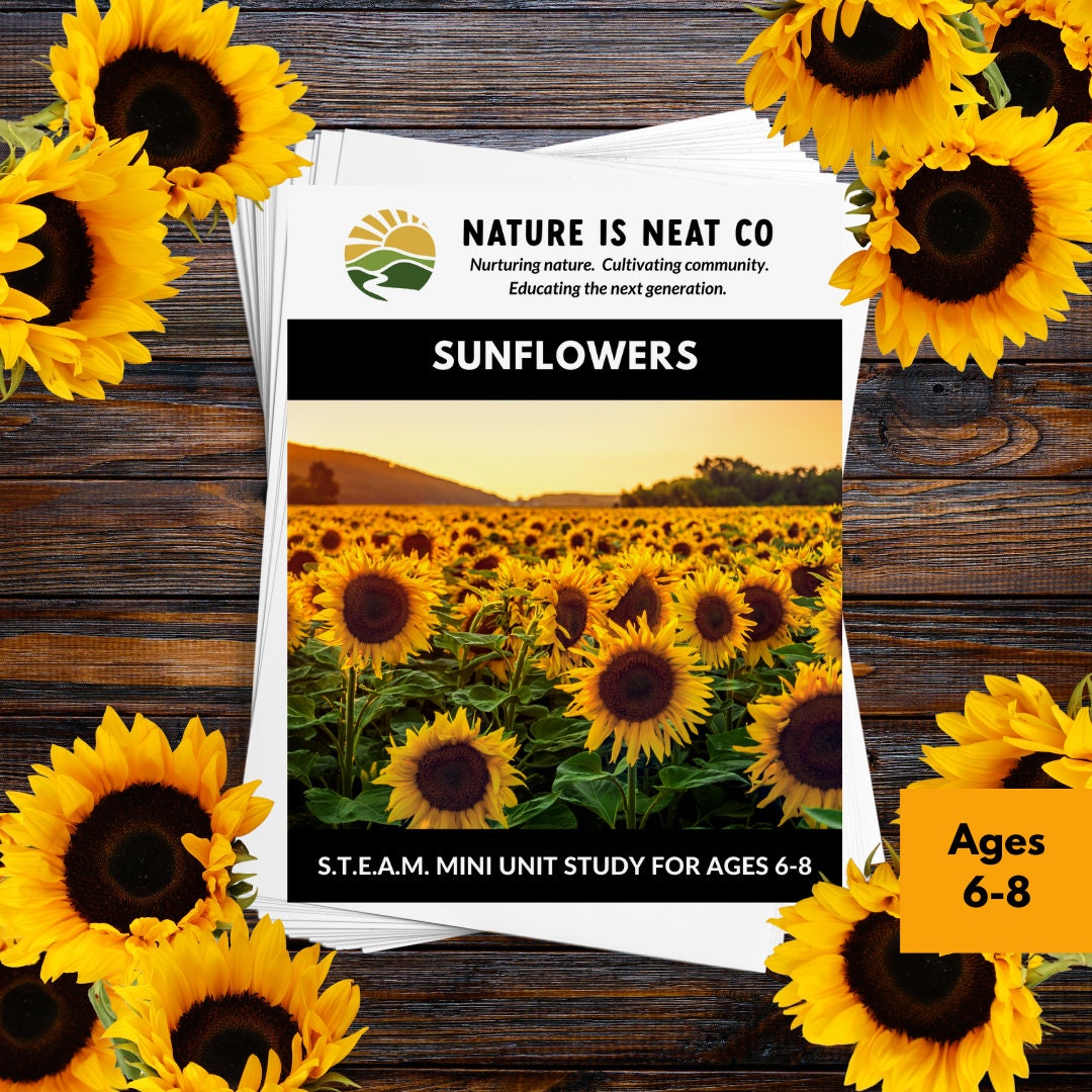 Sunflowers Mini Unit Study Ages 6-8, STEM, Homeschool, Nature Printable ...
