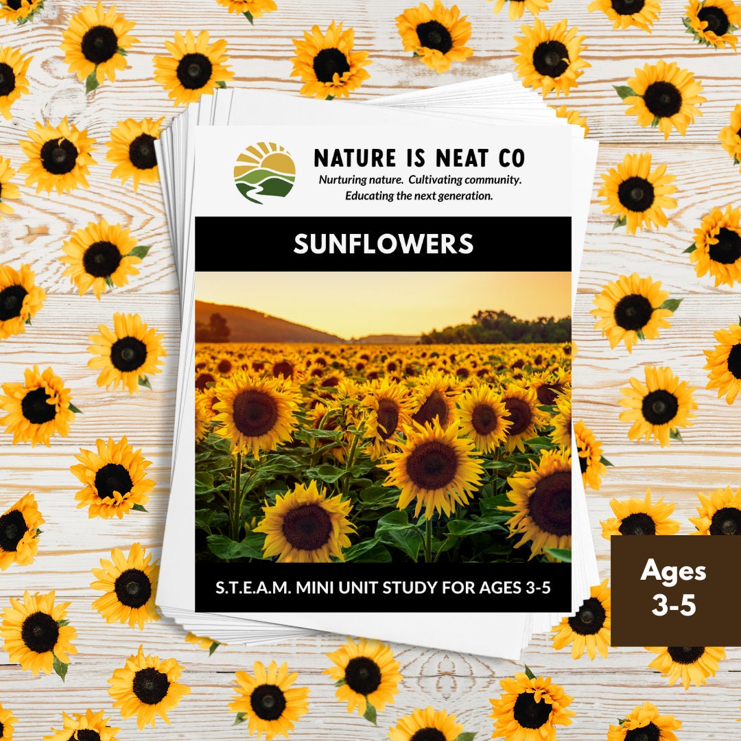 Sunflowers Mini Unit Study Ages 3-5, Preschool, Sunflower Download ...