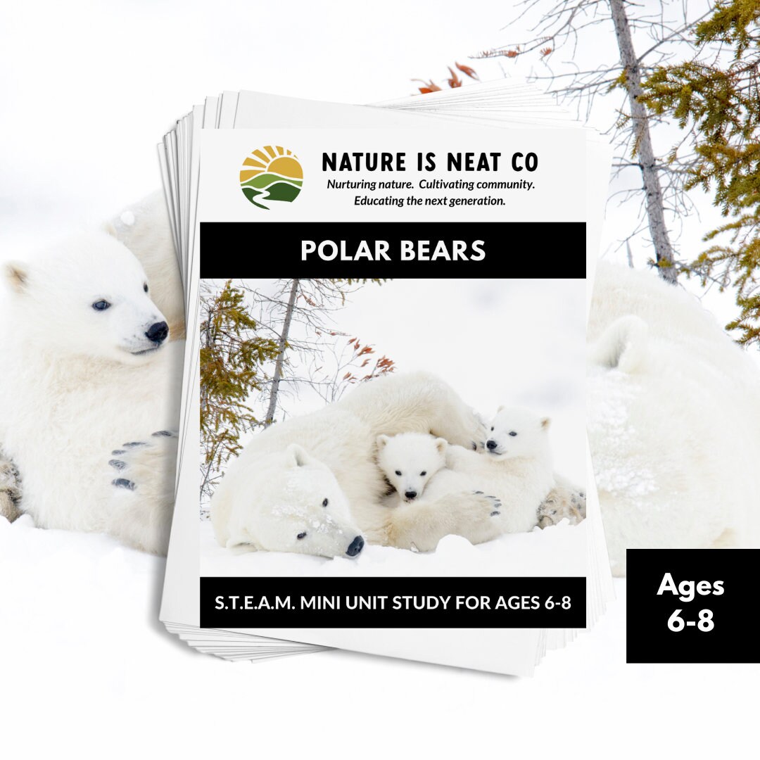 Polar Bears Mini Unit Study Ages 6-8, STEM, Homeschool, Winter ...