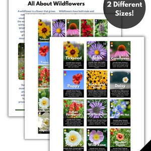 Guess Who Wildflower Edition, Wildflowers Game, Flower Printable ...