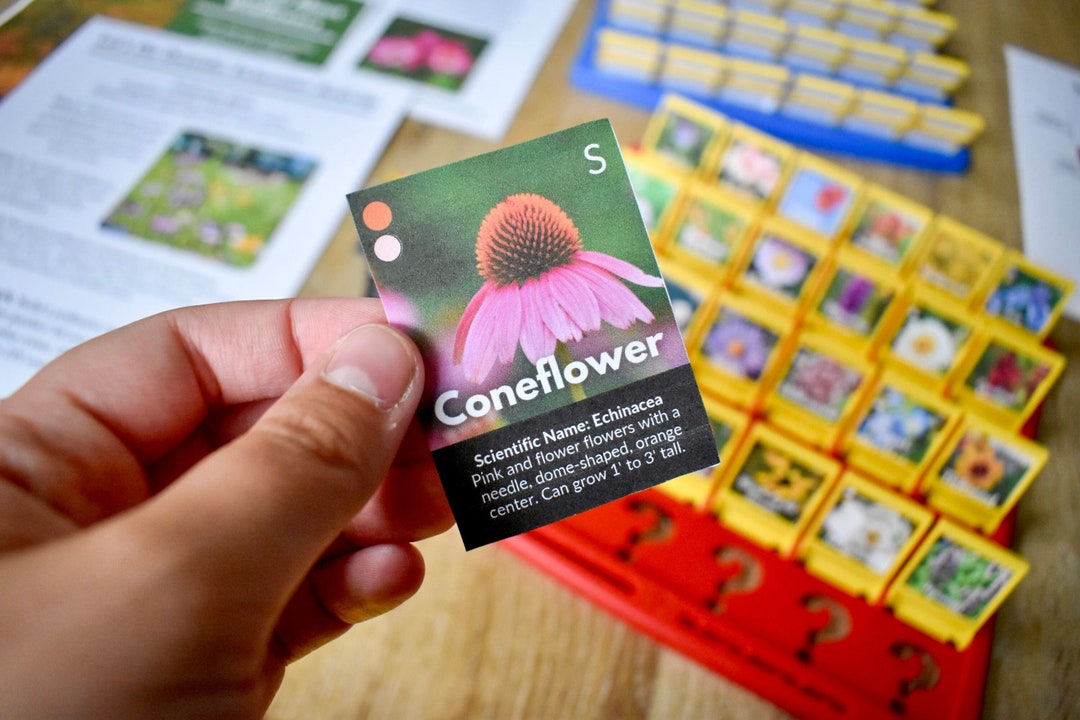 Guess Who Wildflower Edition, Wildflowers Game, Flower Printable ...