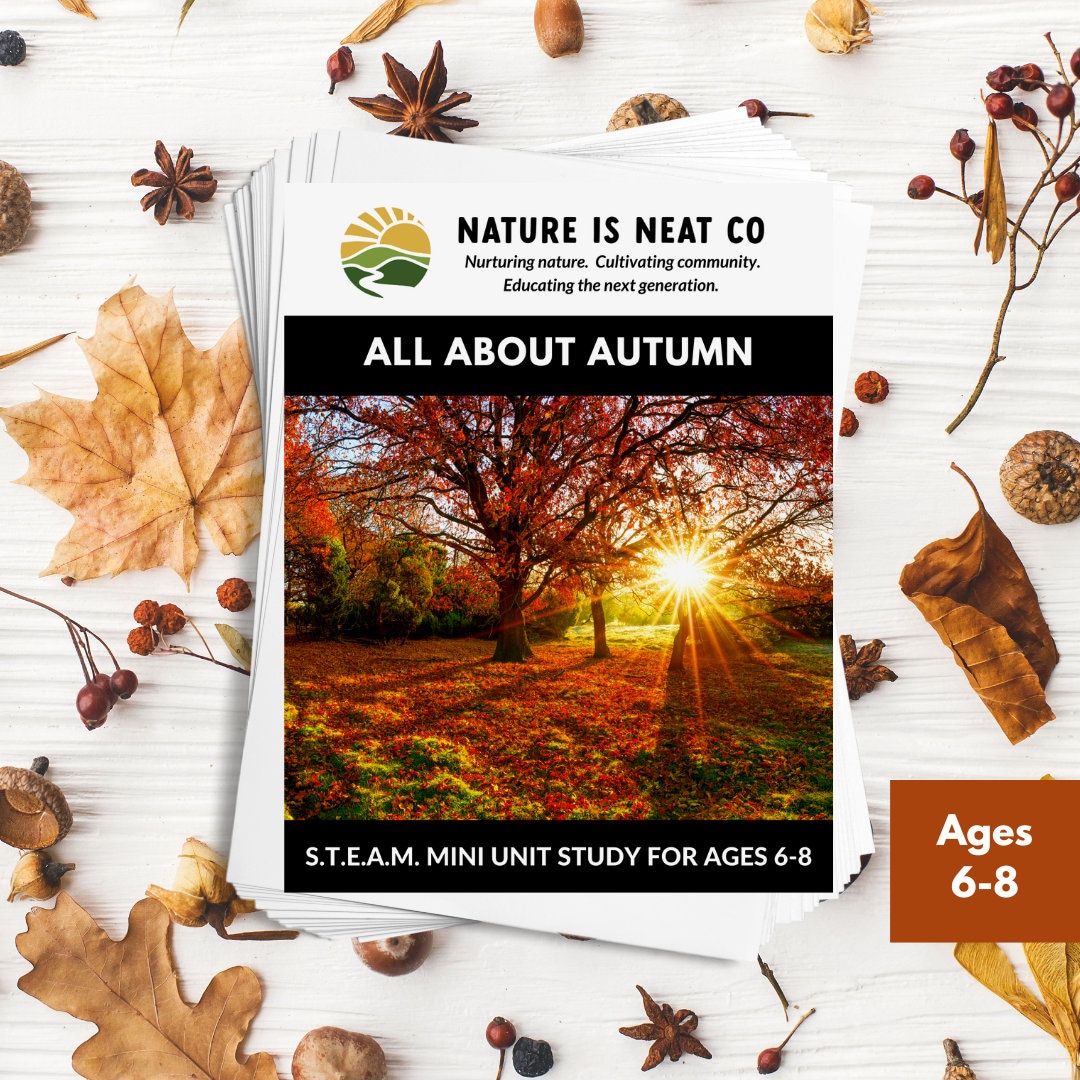 All About Autumn Mini Unit Study for Ages 6-8, Fall Printable, Autumn ...