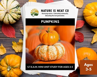 Bat and Spider Study Bat Printables Spider Printables - Etsy