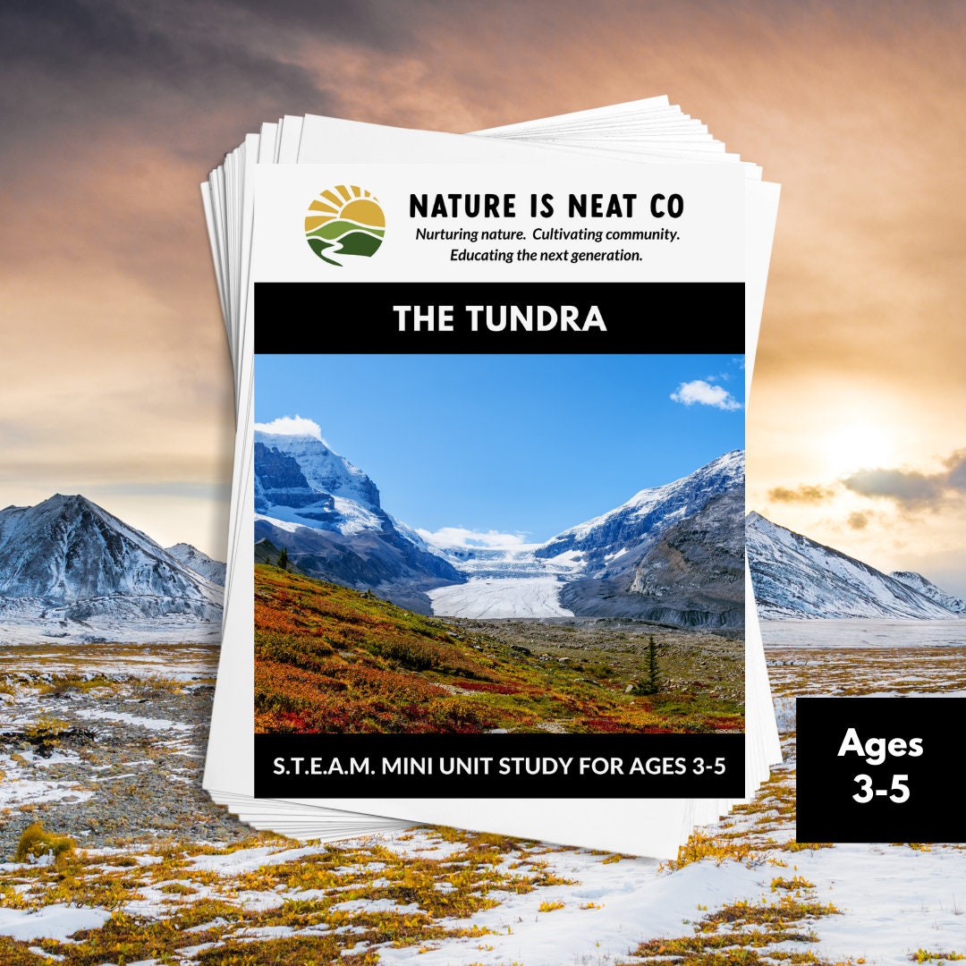 Tundra Mini Unit Study Ages 3-5, Winter Homeschool, Ecosystems, STEM ...