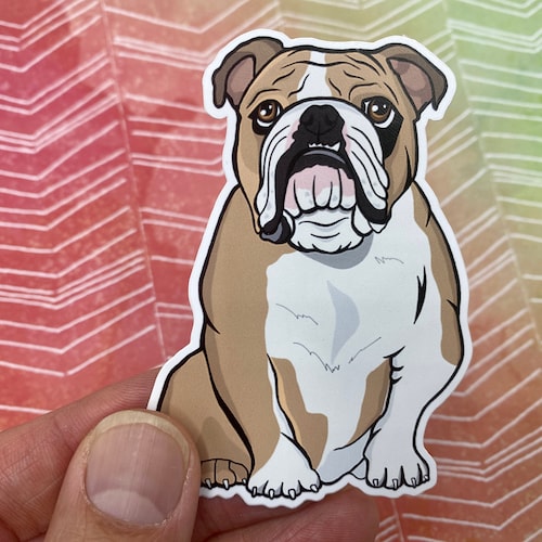 English Bulldog Vinyl Decal Pet Sticker Dog Sticker - Etsy