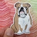 Bulldog Vinyl Sticker, Bulldog Decal Sticker, Dog Sticker, Dog Lover ...