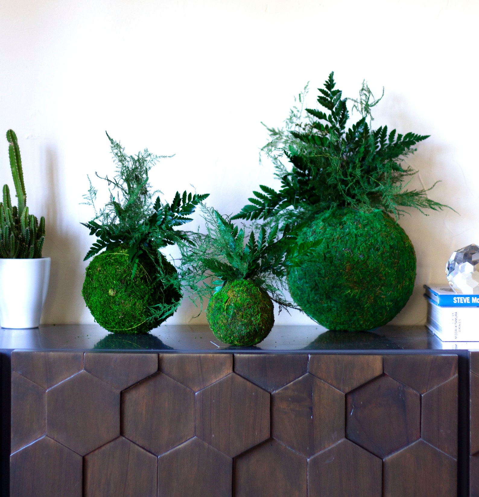 Preserved Moss Art Real Moss Decor Living Moss Art Large - Etsy