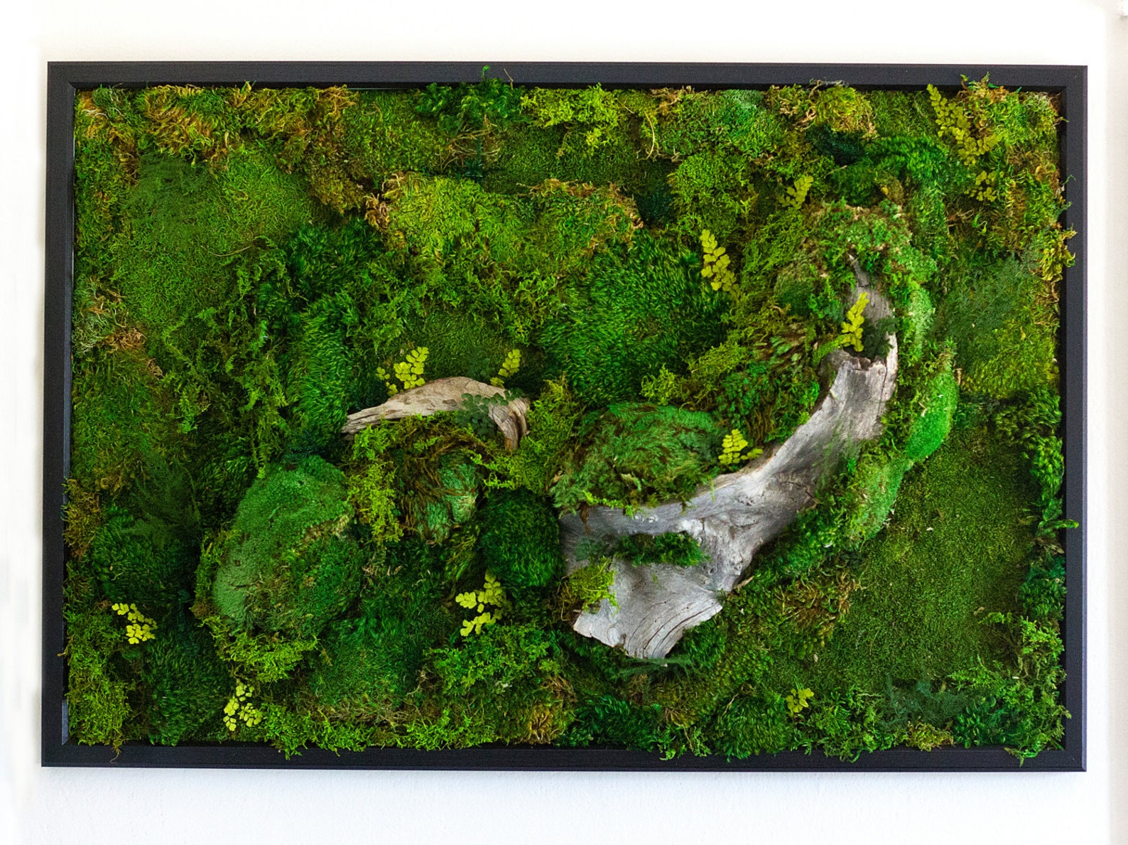 Moss Wall Art Moss Art Work REAL Preserved Moss No - Etsy