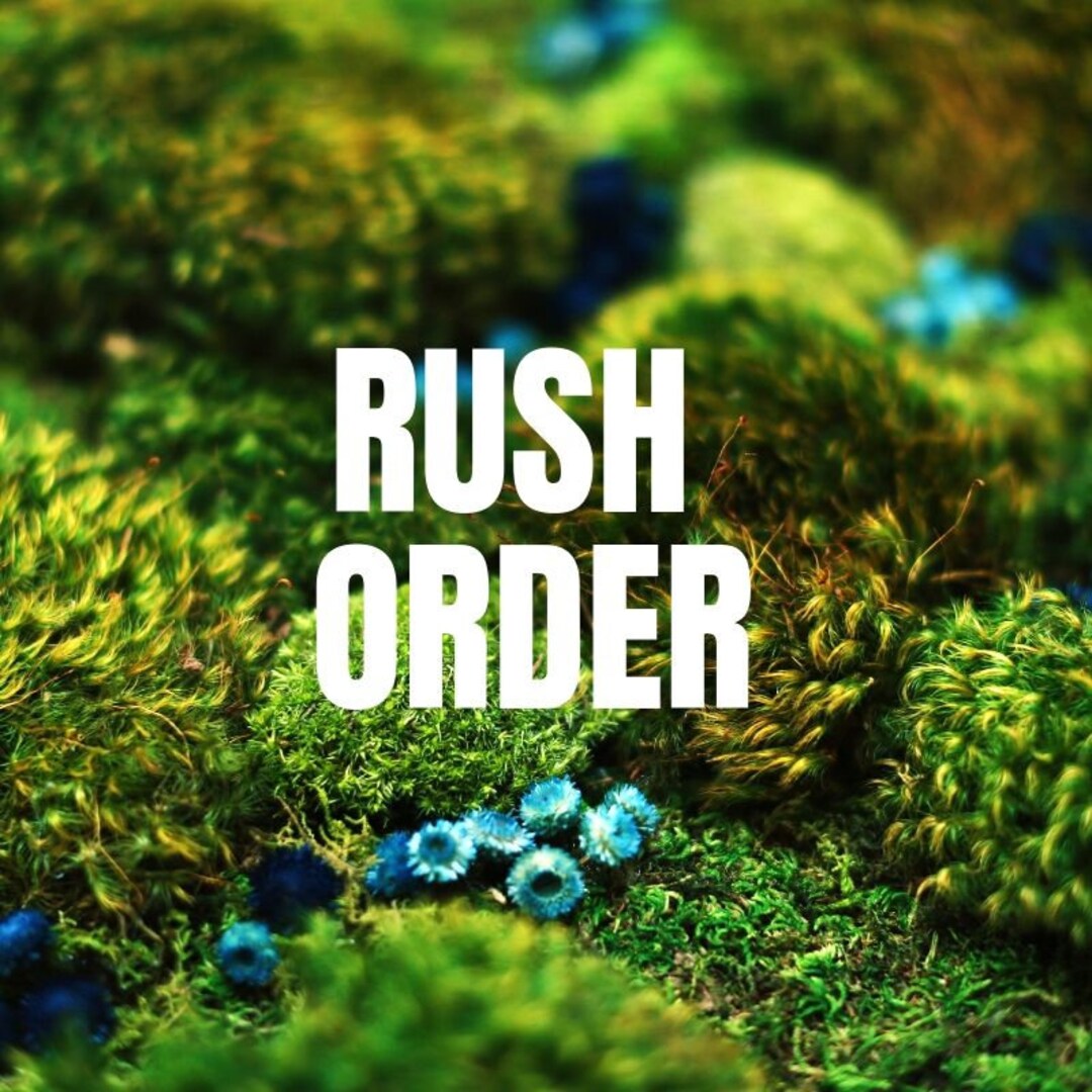 RUSH ORDER- Under 2 Weeks - Etsy