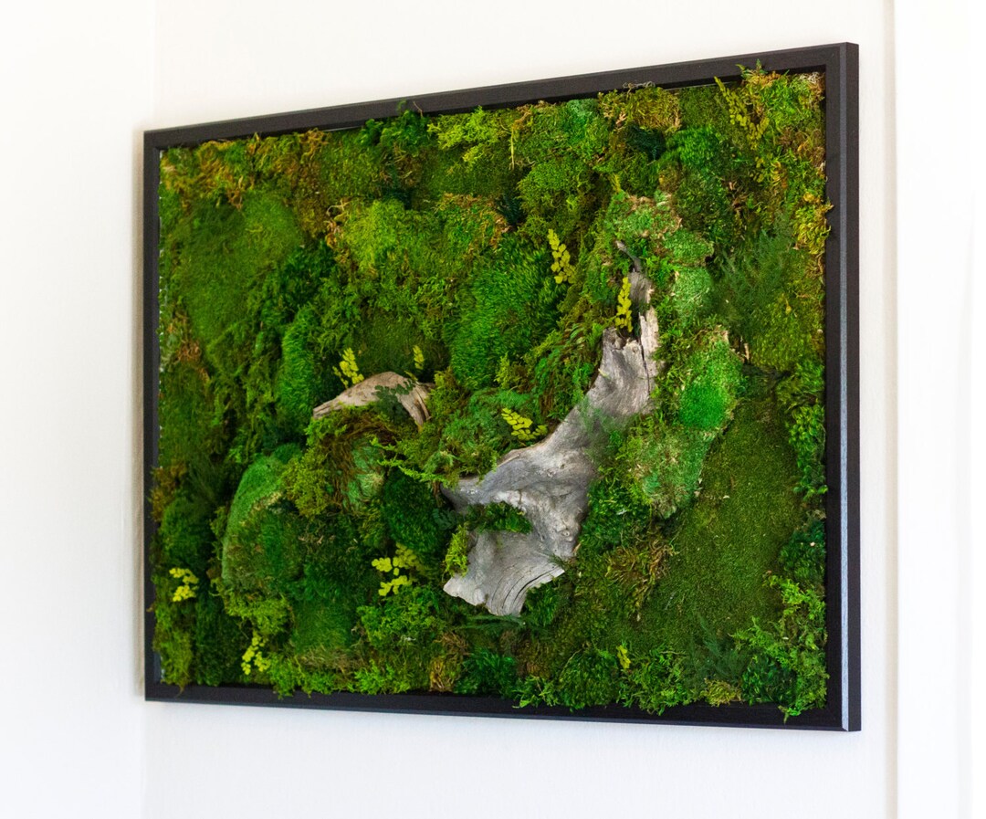 Moss Wall Art ~ Moss Art Work ~ REAL Preserved Moss ~ No Maintenance ...