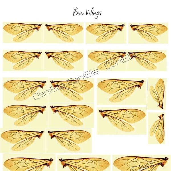 Bee Wings - Etsy