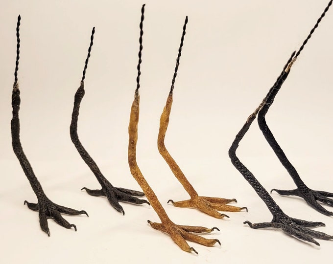 Birds Legs,craft Legs,small Birds Feet,handmade Legs for Needle Felted ...