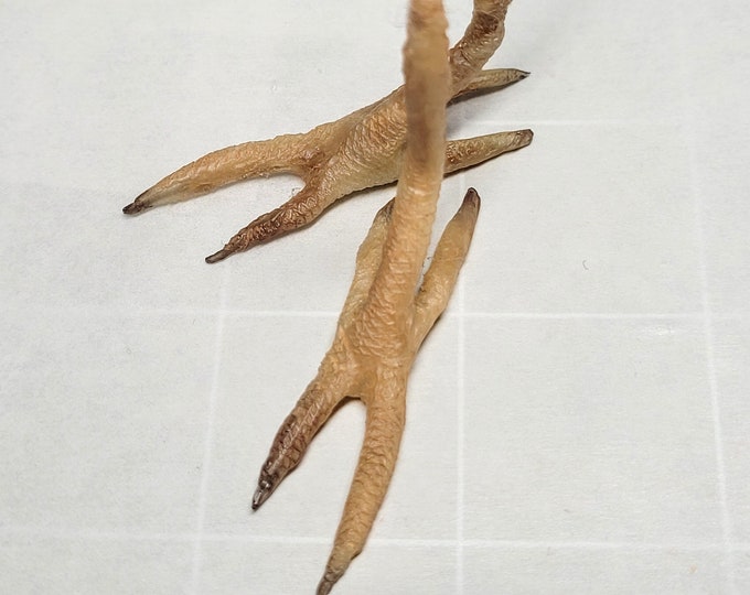 Birds Legs,craft Legs,small Birds Feet,handmade Legs for Needle Felted ...