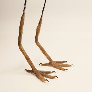 Birds Legs,craft Legs,small Birds Feet,handmade Legs for Needle Felted ...